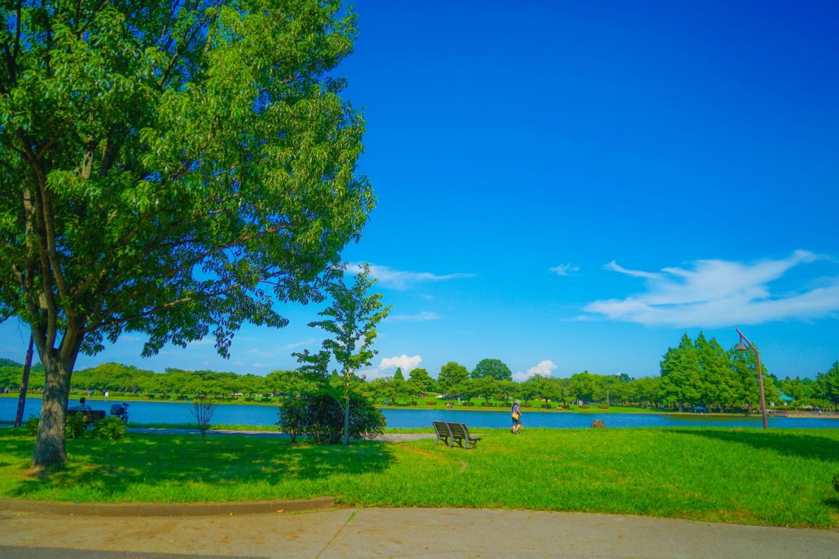 Mizumoto Park – Tokyo Area