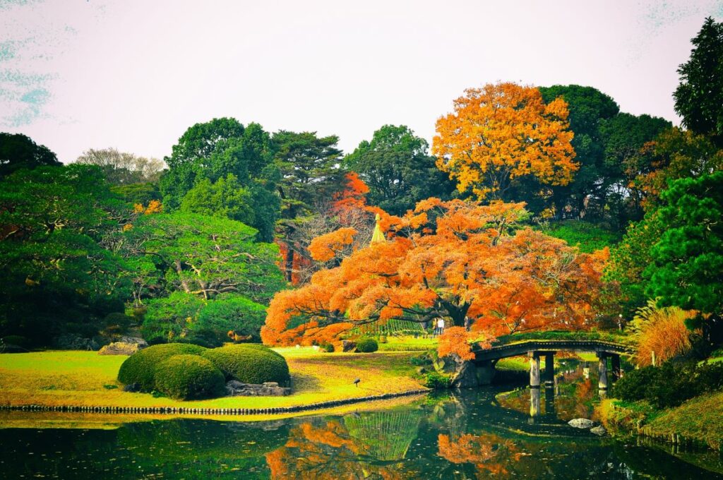 Things To Do In Adachi Tokyo – Tokyo Area