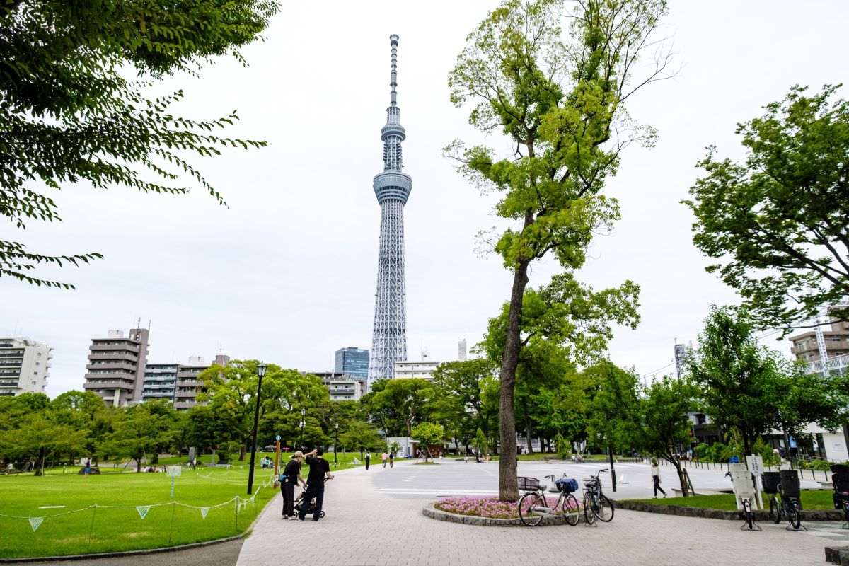 Sumida Park – Tokyo Area