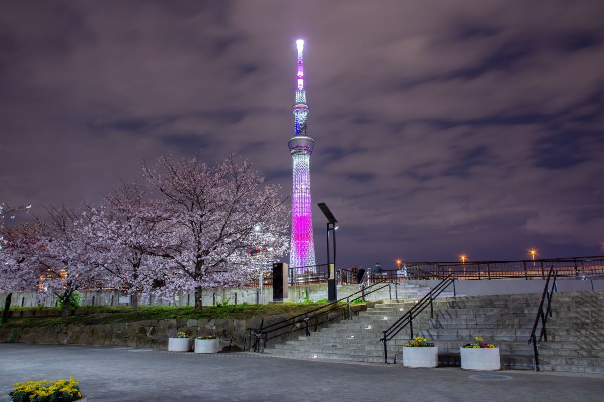Sumida Park – Tokyo Area