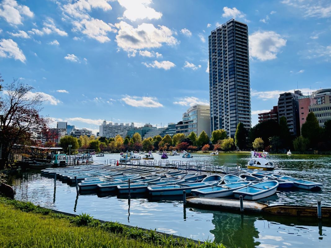 Ueno Park – Tokyo Area