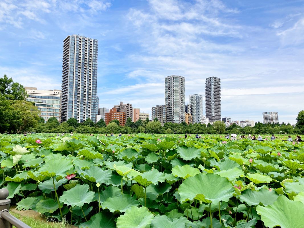 Ueno Park – Tokyo Area