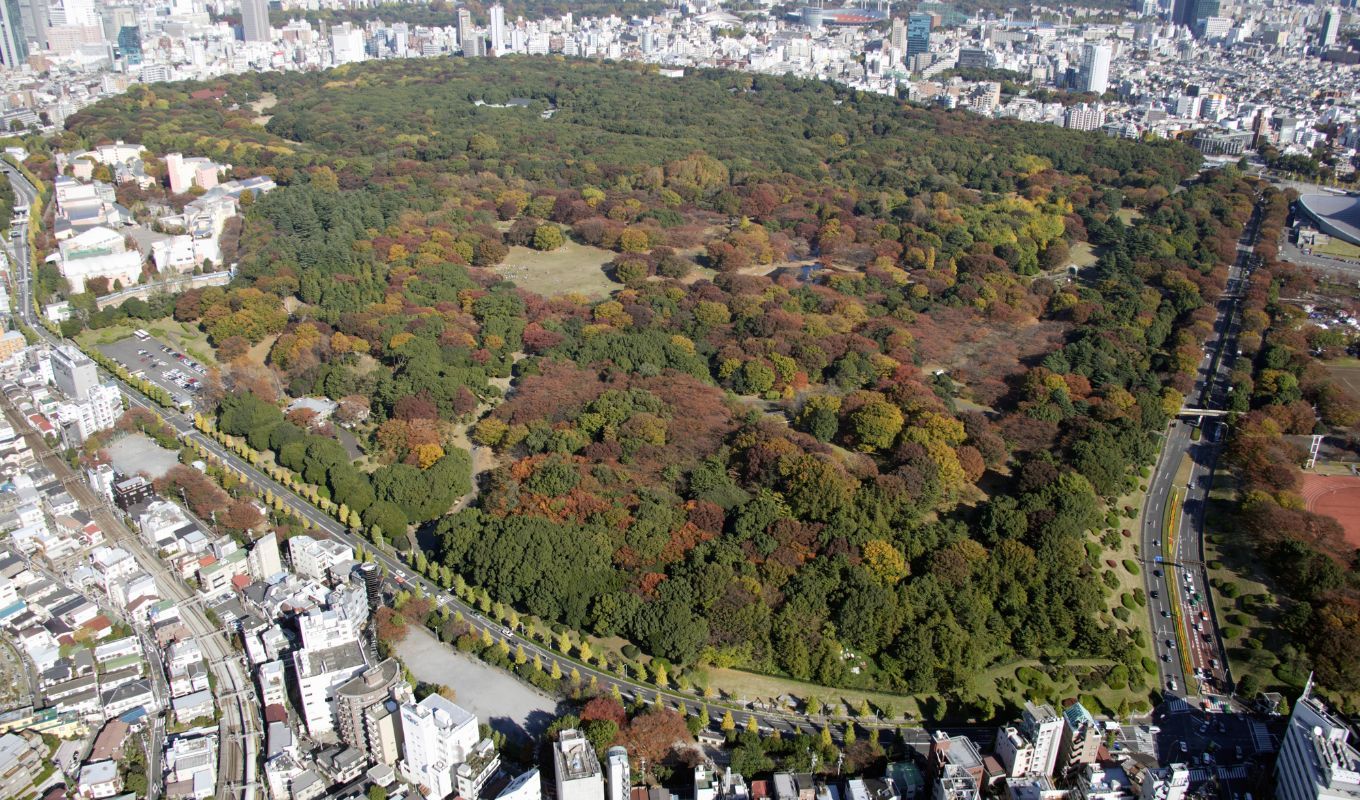 Sumida Park – Tokyo Area