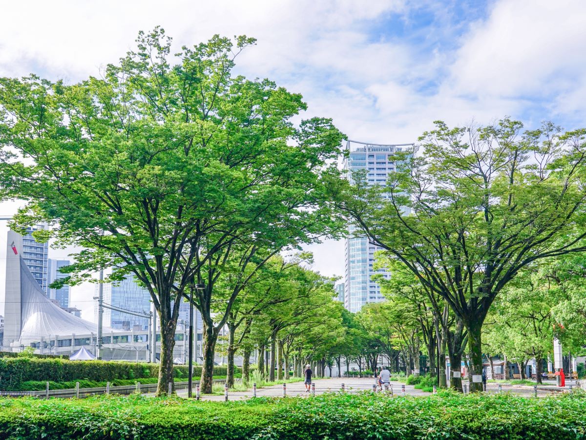 25 Cool & Quirky Things To Do In Shibuya – Tokyo Area